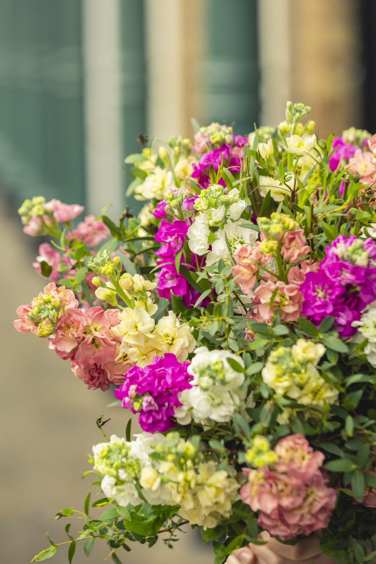 FlowerXL Matthiolakwekerij | Duurzam & Vers